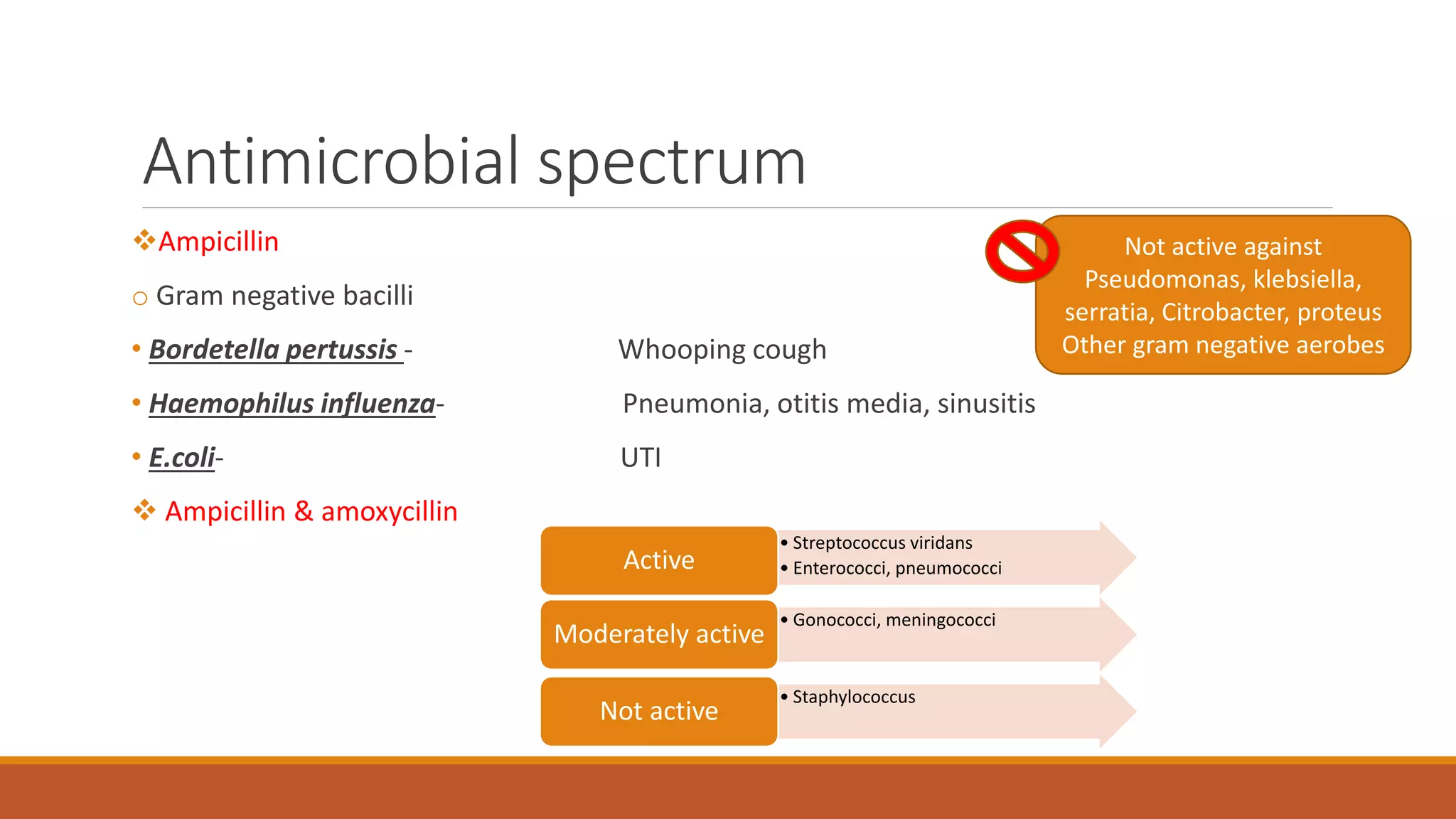 Penicillins & Cephalosporins.pptx