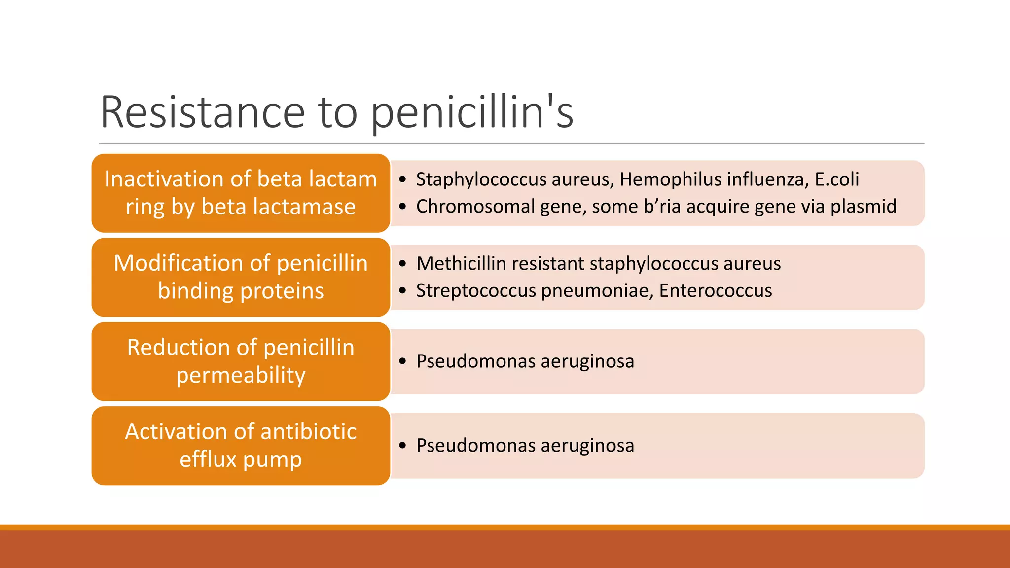 Penicillins & Cephalosporins.pptx