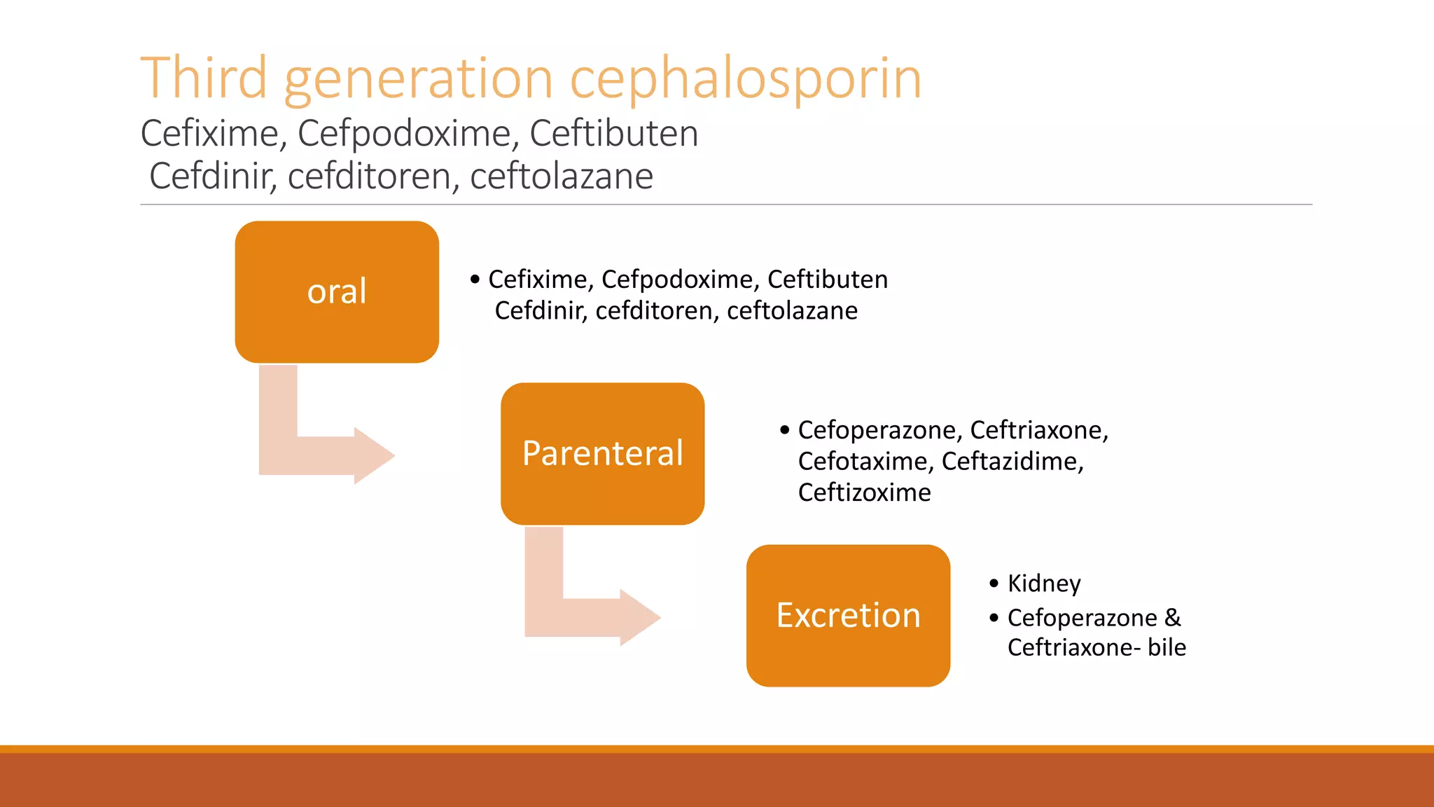 Penicillins & Cephalosporins.pptx