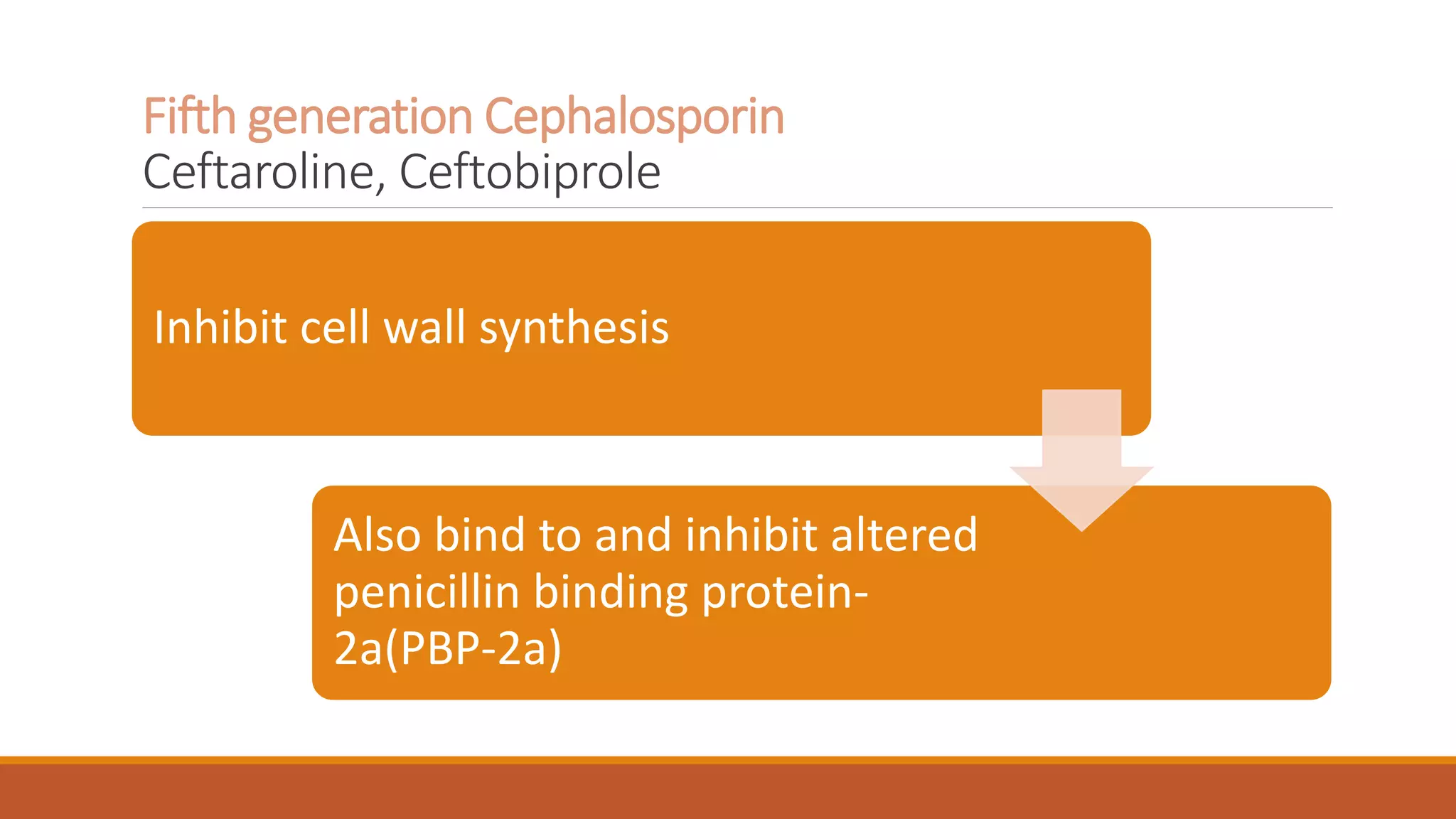 Penicillins & Cephalosporins.pptx