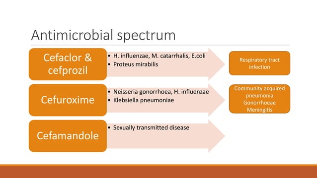 Penicillins & Cephalosporins.pptx
