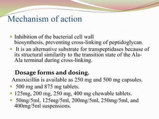Penicillins, cephalosporins, amido penicillins | PPTX