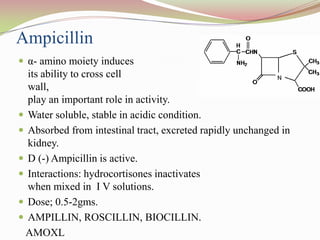 Penicillins, cephalosporins, amido penicillins | PPTX