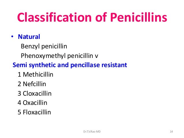 Penicillin's & cephalosporins basics