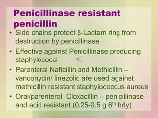 Penicillin's MBBS- DM WIMS.ppt | Infectious Diseases | Diseases and ...