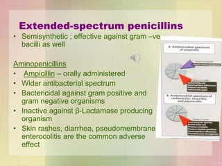 Penicillin's MBBS- DM WIMS.ppt | Infectious Diseases | Diseases and ...