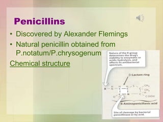 Penicillin's MBBS- DM WIMS.ppt | Infectious Diseases | Diseases and ...