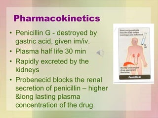 Penicillin's MBBS- DM WIMS.ppt | Infectious Diseases | Diseases and ...