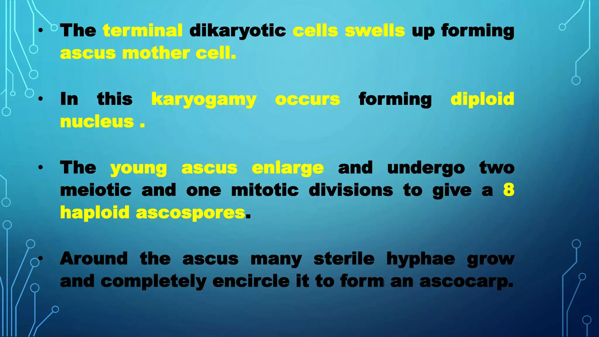 Penicillium fungi | PPTX