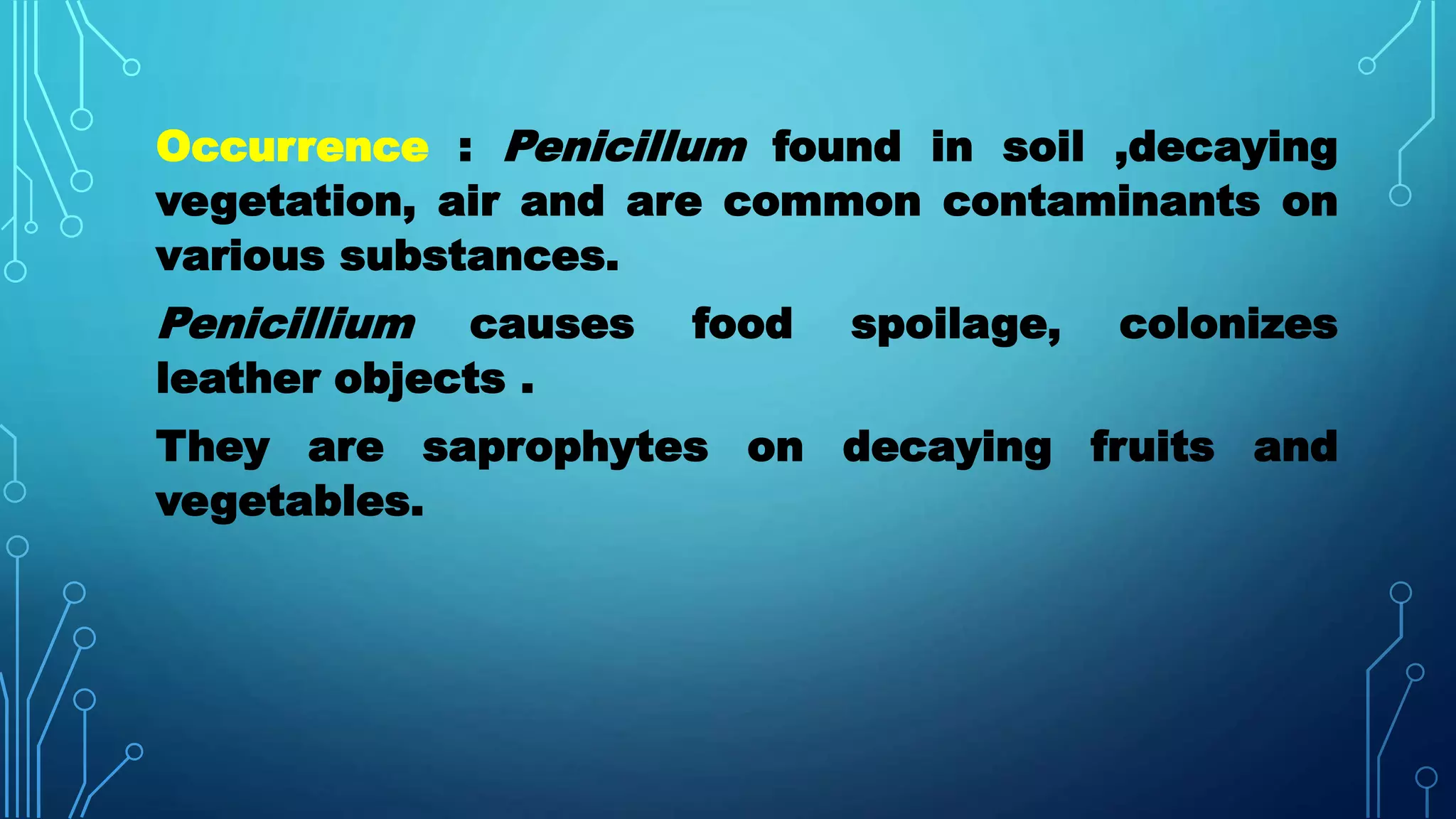 Penicillium fungi | PPTX