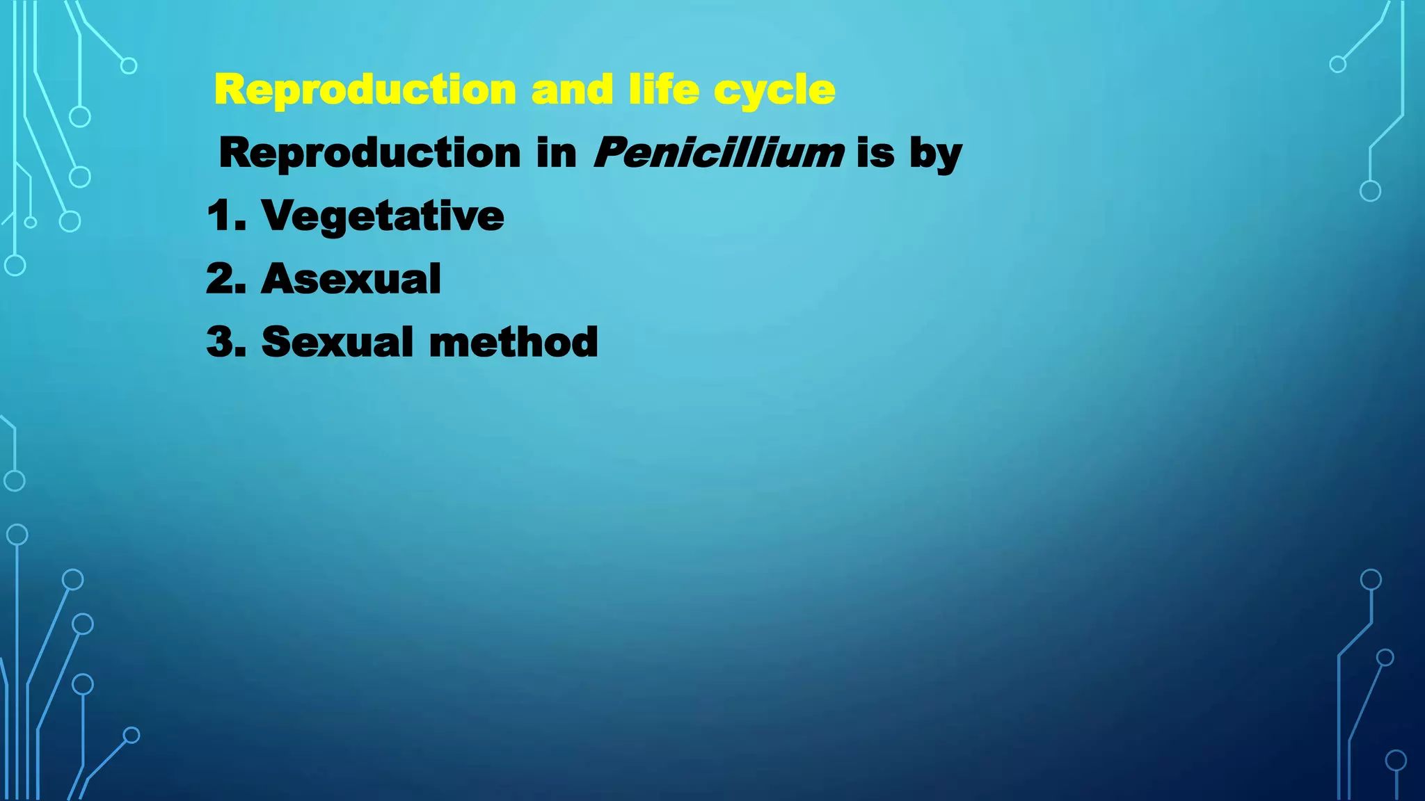 Penicillium fungi | PPTX