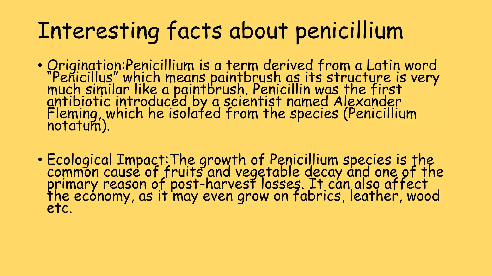 Penicillium Ppt Pptx