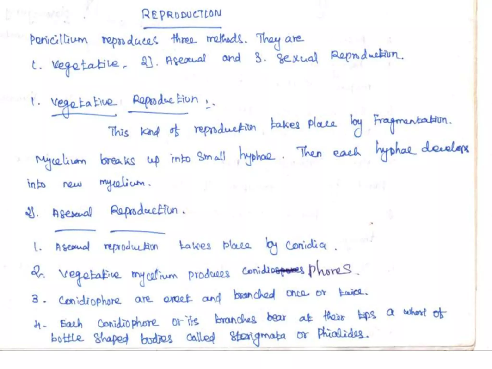 Penicillium structure and reproduction | PPT