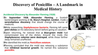 PENICILLIUM NOTATUM - The discovery and uses | PPTX