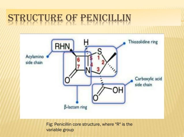 Story of penicillin | PPTX | Chemistry | Science