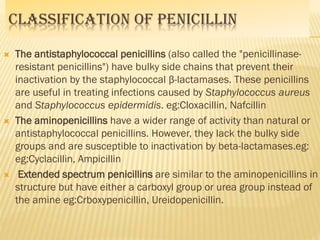 Story of penicillin | PPTX