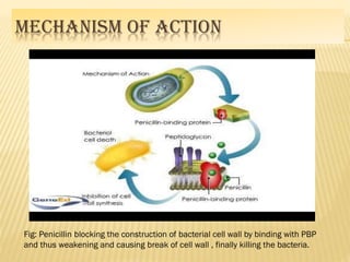 Story of penicillin | PPTX