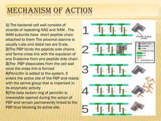 Story of penicillin | PPTX