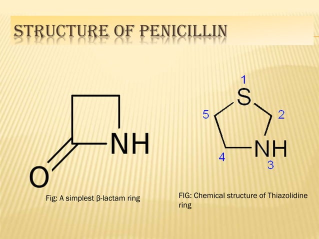 Story of penicillin | PPTX | Chemistry | Science