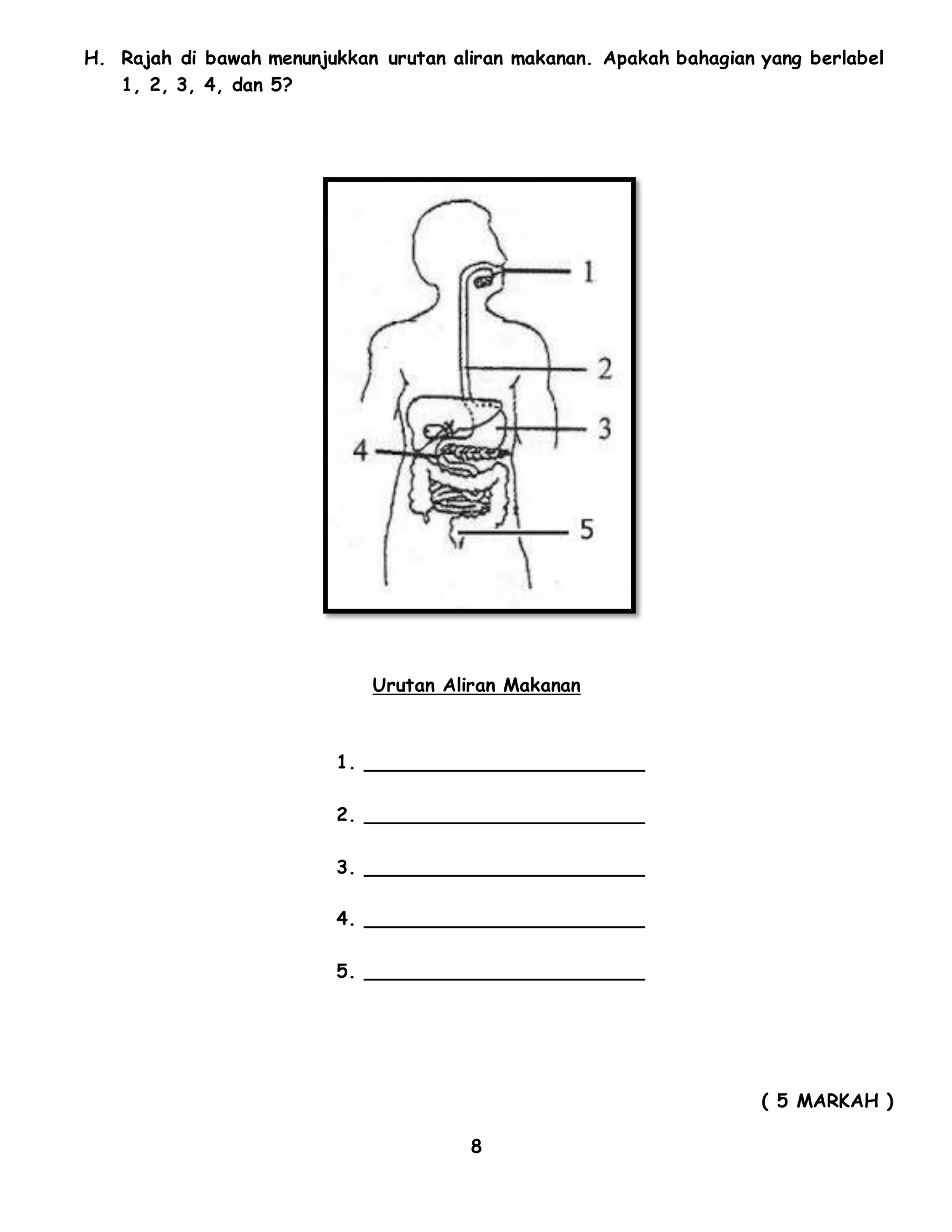 Peperiksaan Pertengahan Tahun Sains Tahun 3 2019 | DOCX