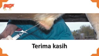 Penilaian Risiko Masuknya BGC Melalui Sapi Jantan Dari Australia ...