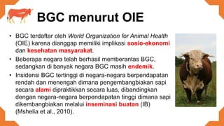 Penilaian Risiko Masuknya BGC Melalui Sapi Jantan Dari Australia ...