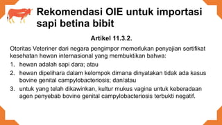 Penilaian Risiko Masuknya BGC Melalui Sapi Jantan Dari Australia ...