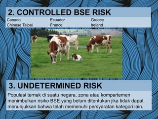 Penilaian Situasi BSE di Irlandia - Ditkeswan - Presentasi Zoom, 3 ...