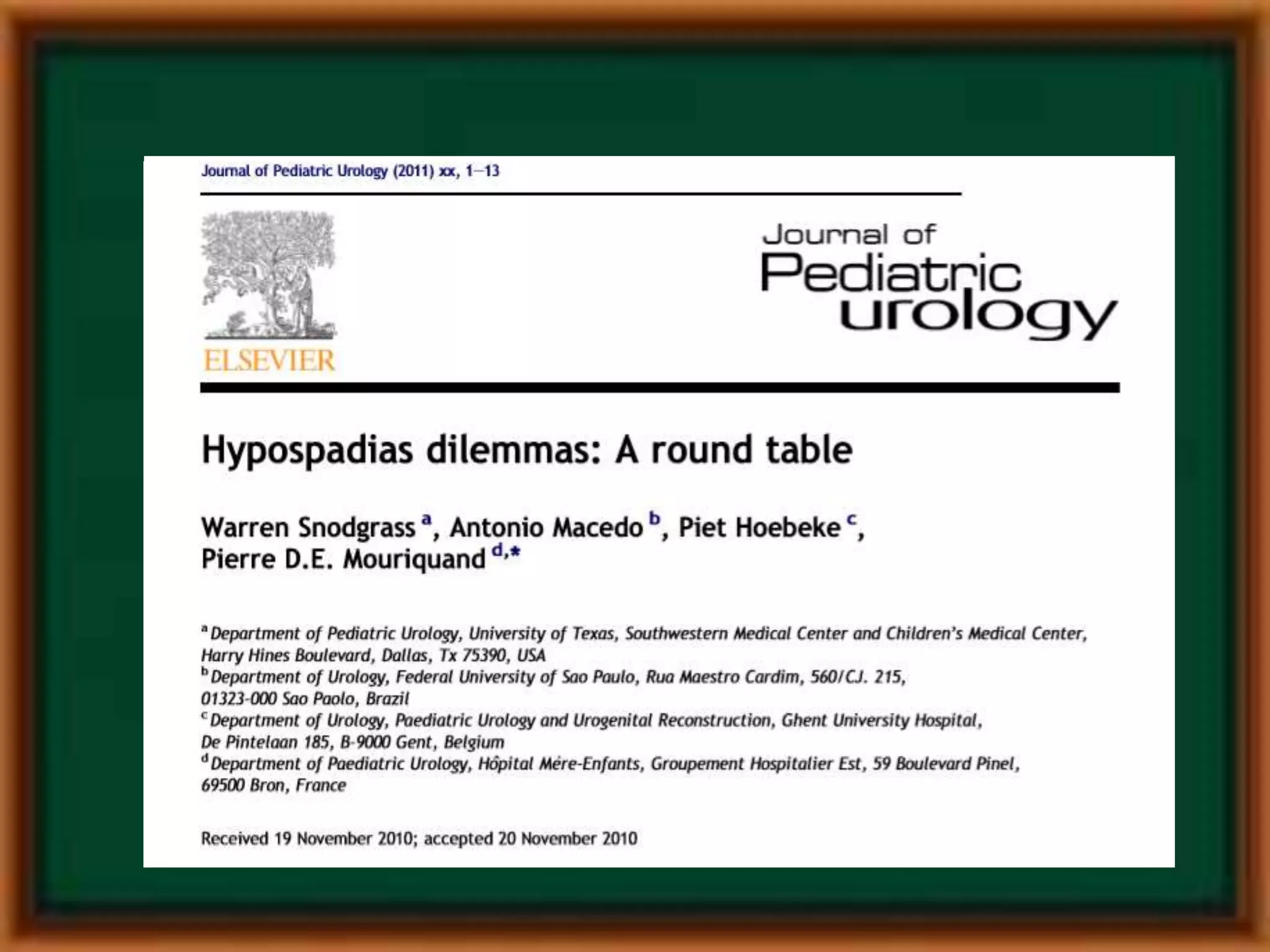 Penile anatomy | PPTX