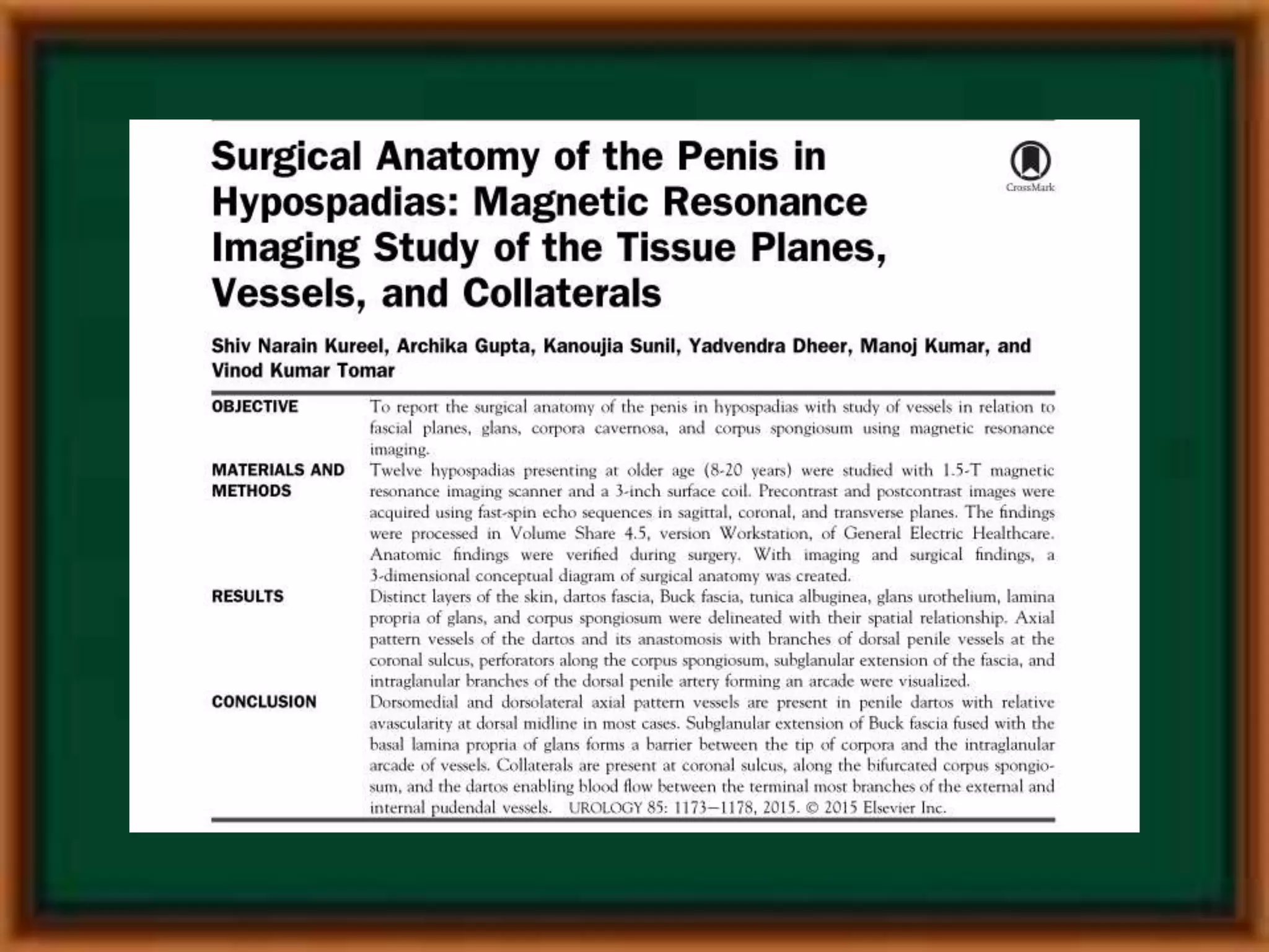 Penile anatomy | PPTX
