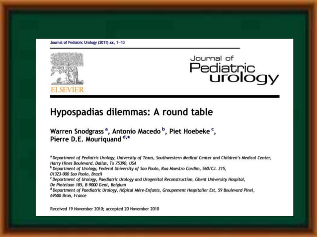 Penile anatomy | PPTX | Sexual Conditions | Sexual Health