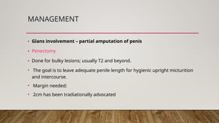 penile ca.pptx pathology for MBBS student | PPTX