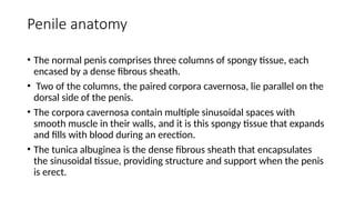 penile DOPPLER for masters courses and above.pptx
