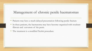 Penile Fracture Repair