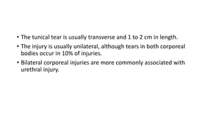 PENILE FRACTURE.pptx