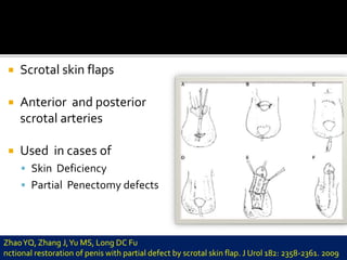 Penile reconstruction DR VIPIN V NAIR | PPTX