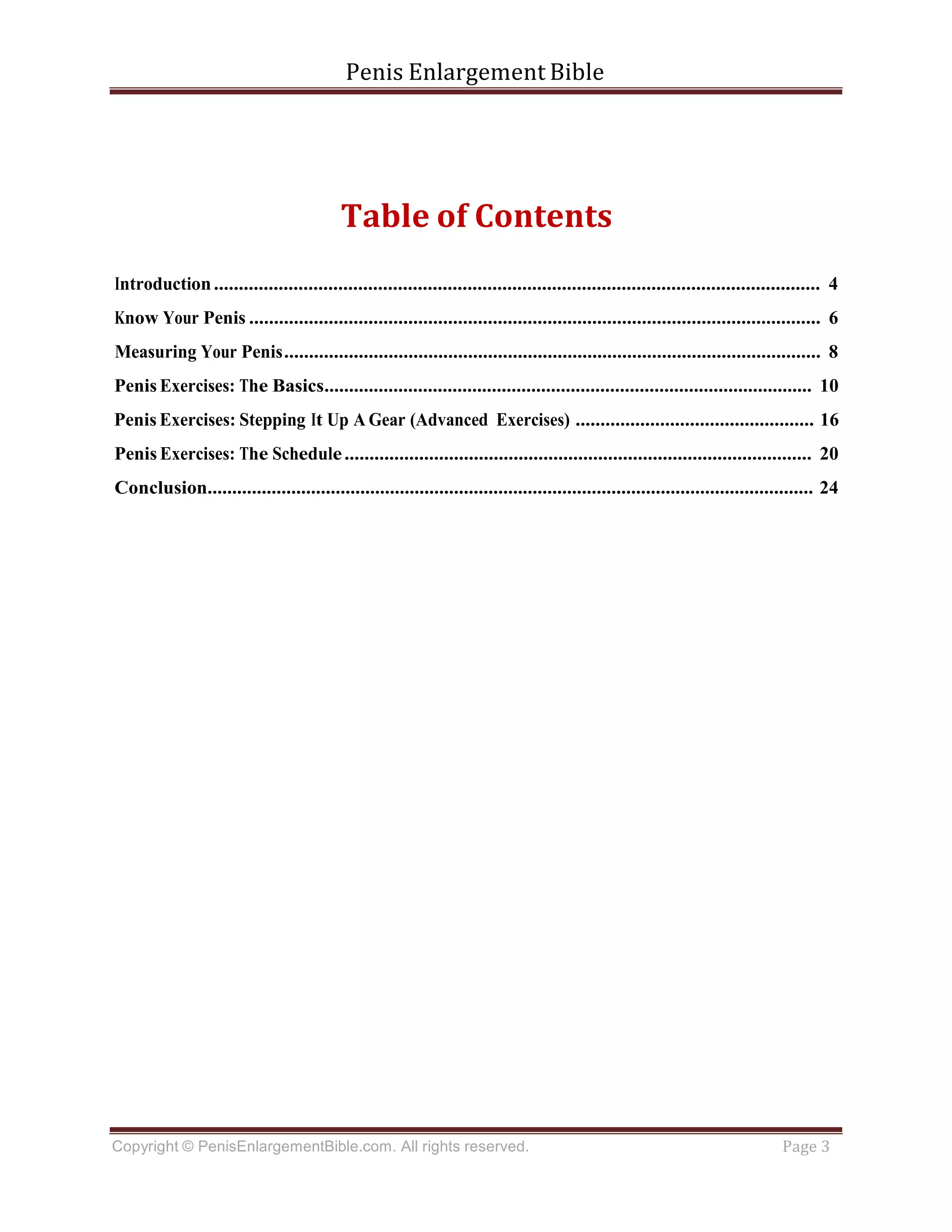 Penile Size Chart | PDF