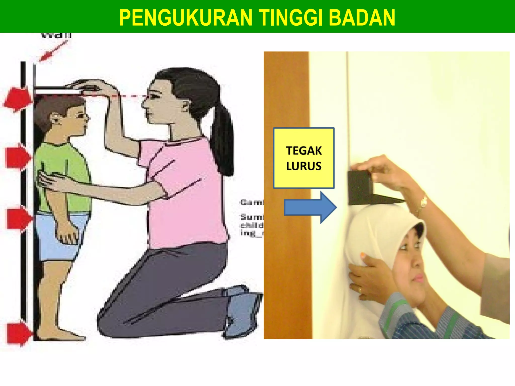 Penimbangan BB dan Pengukuran TB | PPT