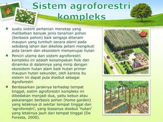 Peningkatan produktifitas lahan dengan system agroforestri (tumpangsari ...