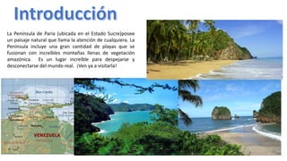 Peninsula de paria 20000 | PPTX