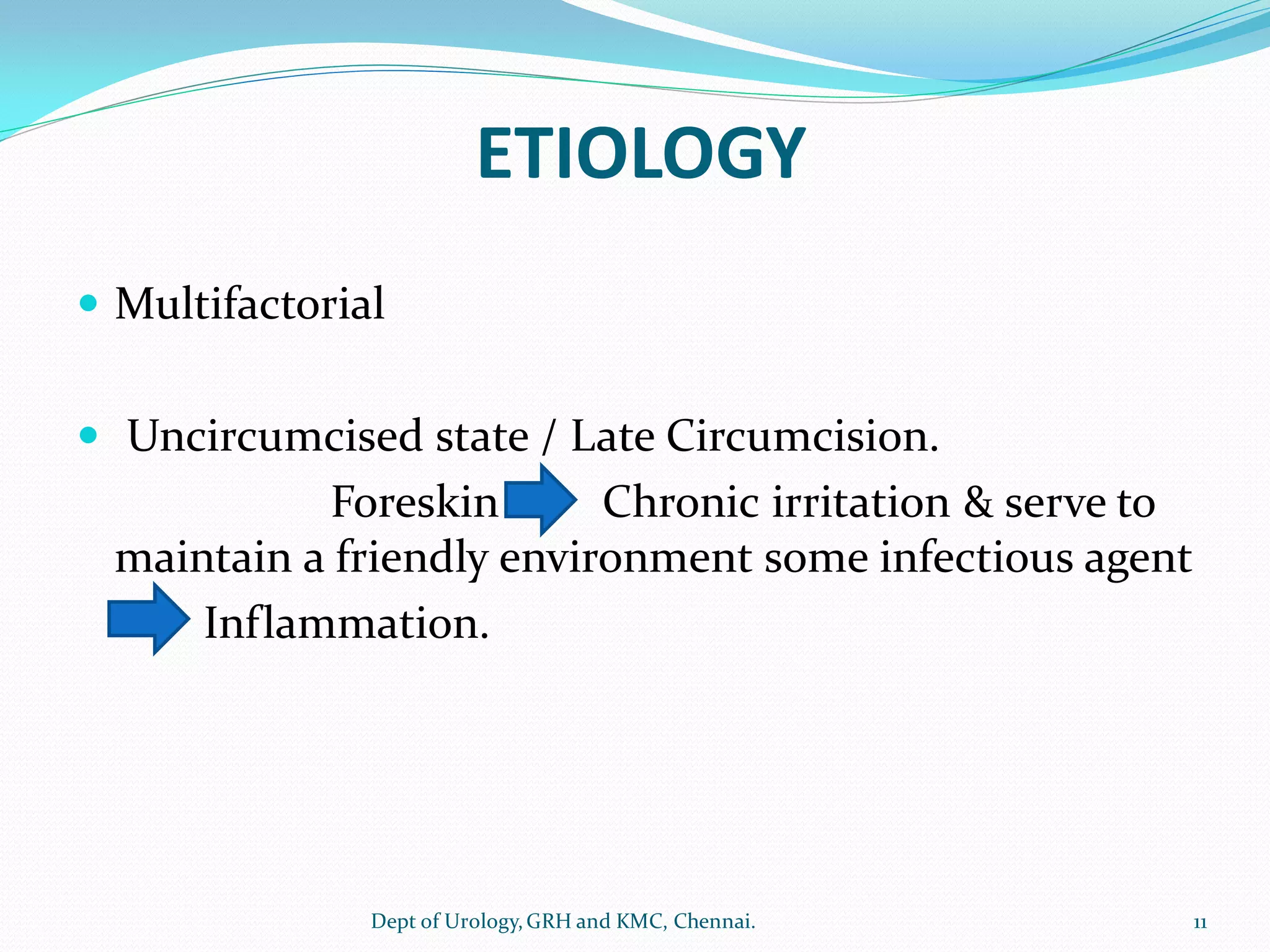 Penis: BALANITIS XEROTICA OBLITARANS(bxo) | PDF