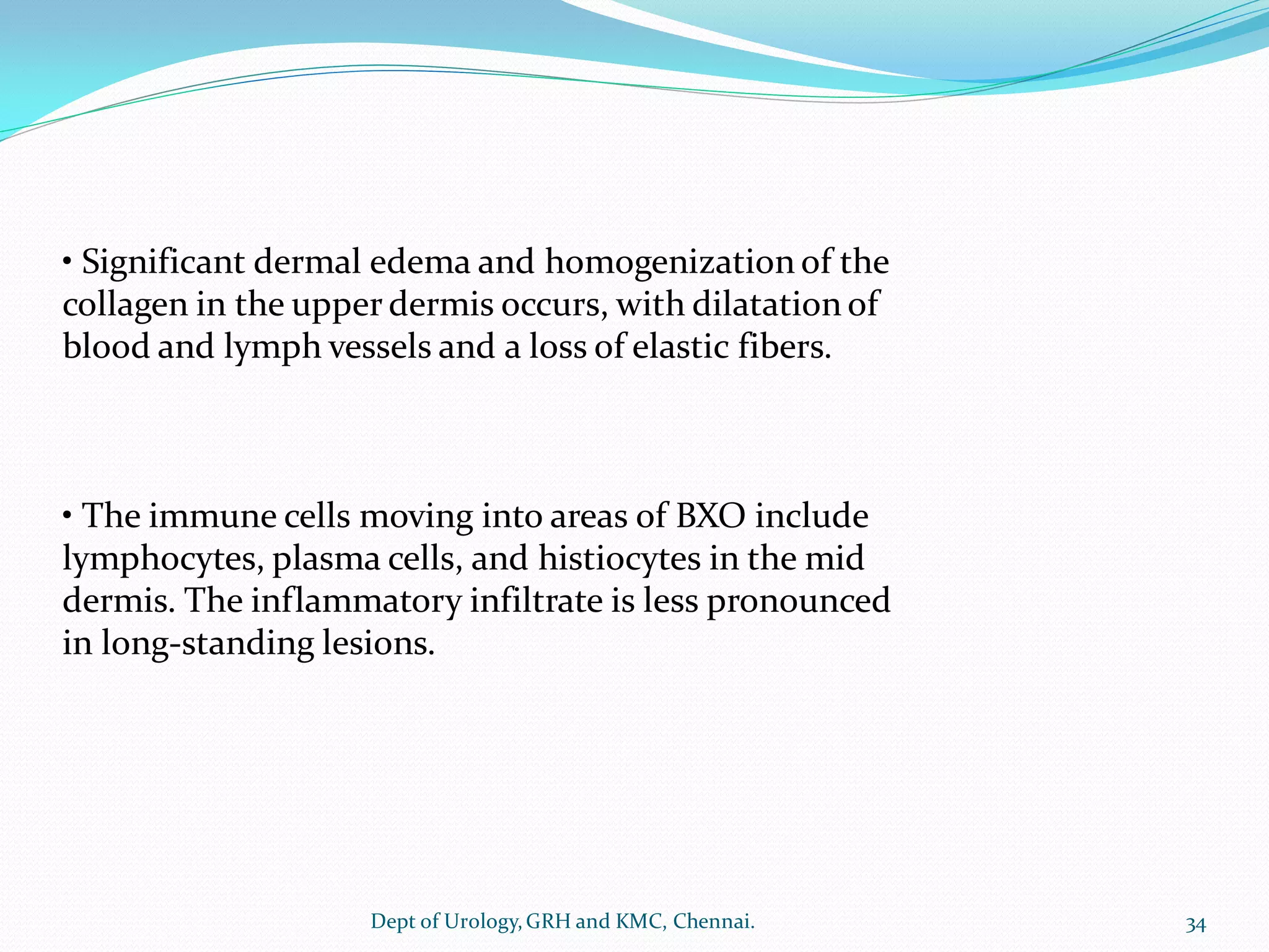 Penis: BALANITIS XEROTICA OBLITARANS(bxo) | PDF