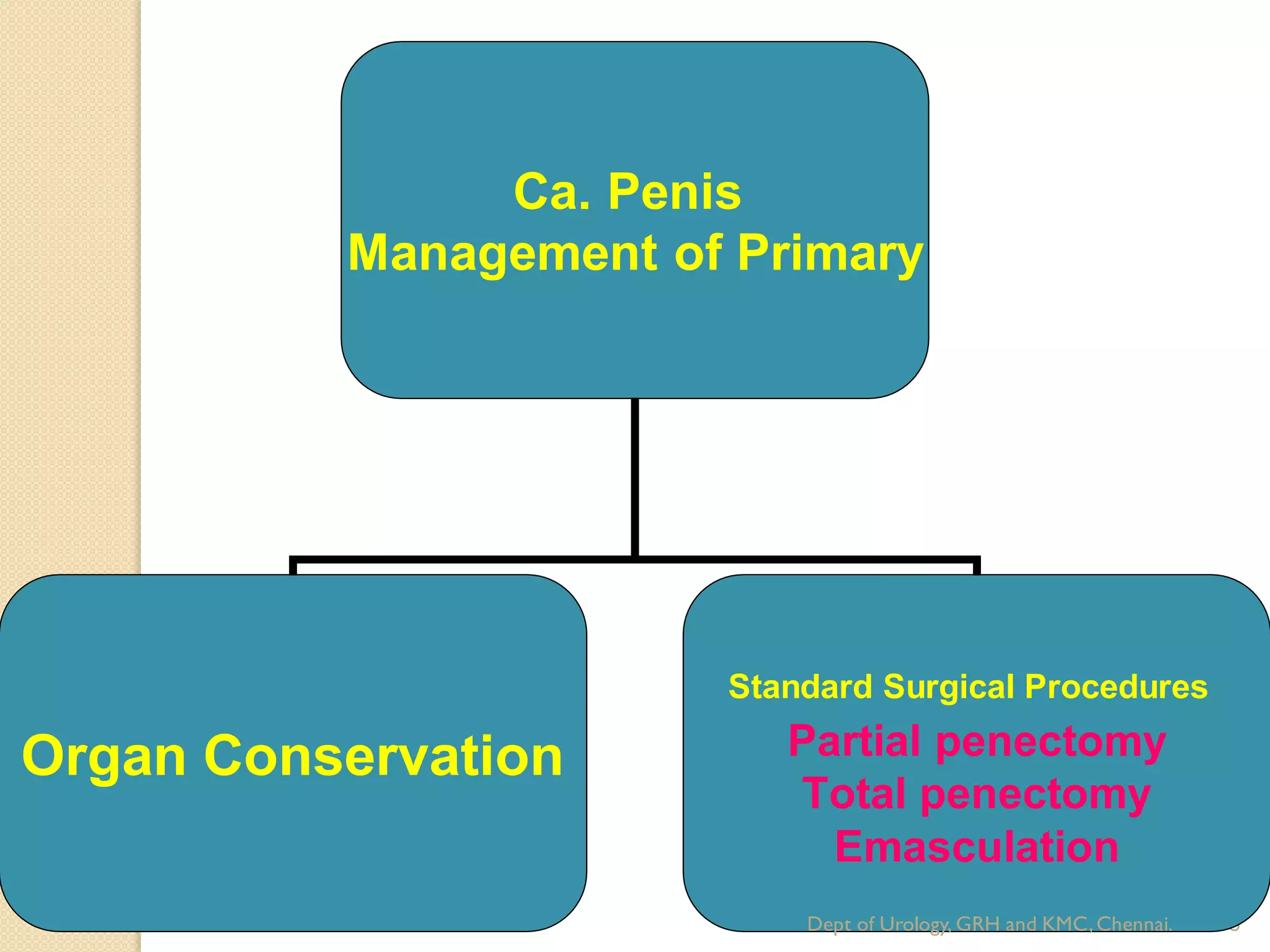 Penis carcinoma- premalignant and management algorithm | PDF