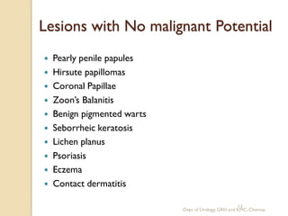 Penis carcinoma- premalignant and management algorithm | PDF | Skin and ...