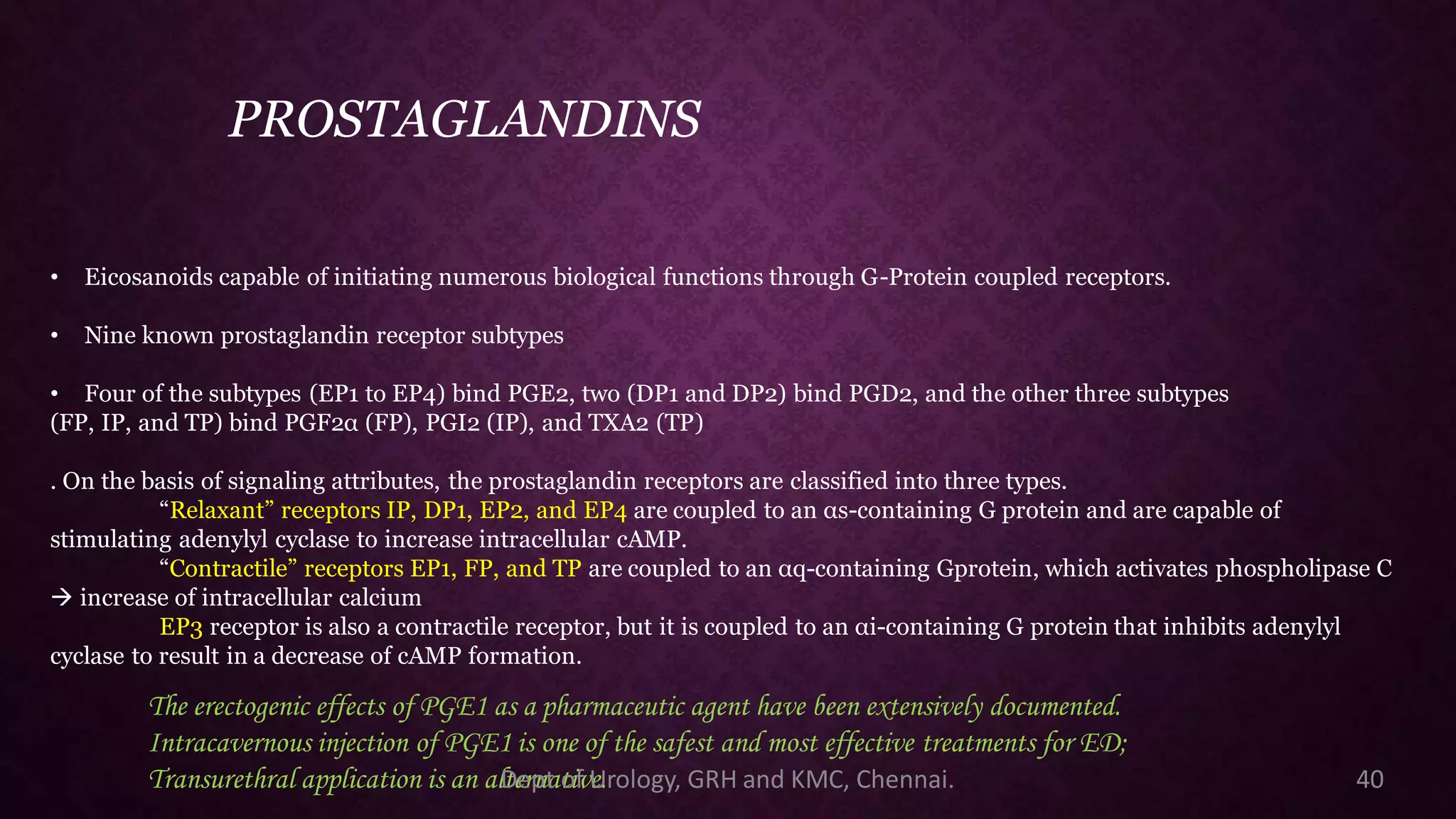 Penis erection physiology | PDF