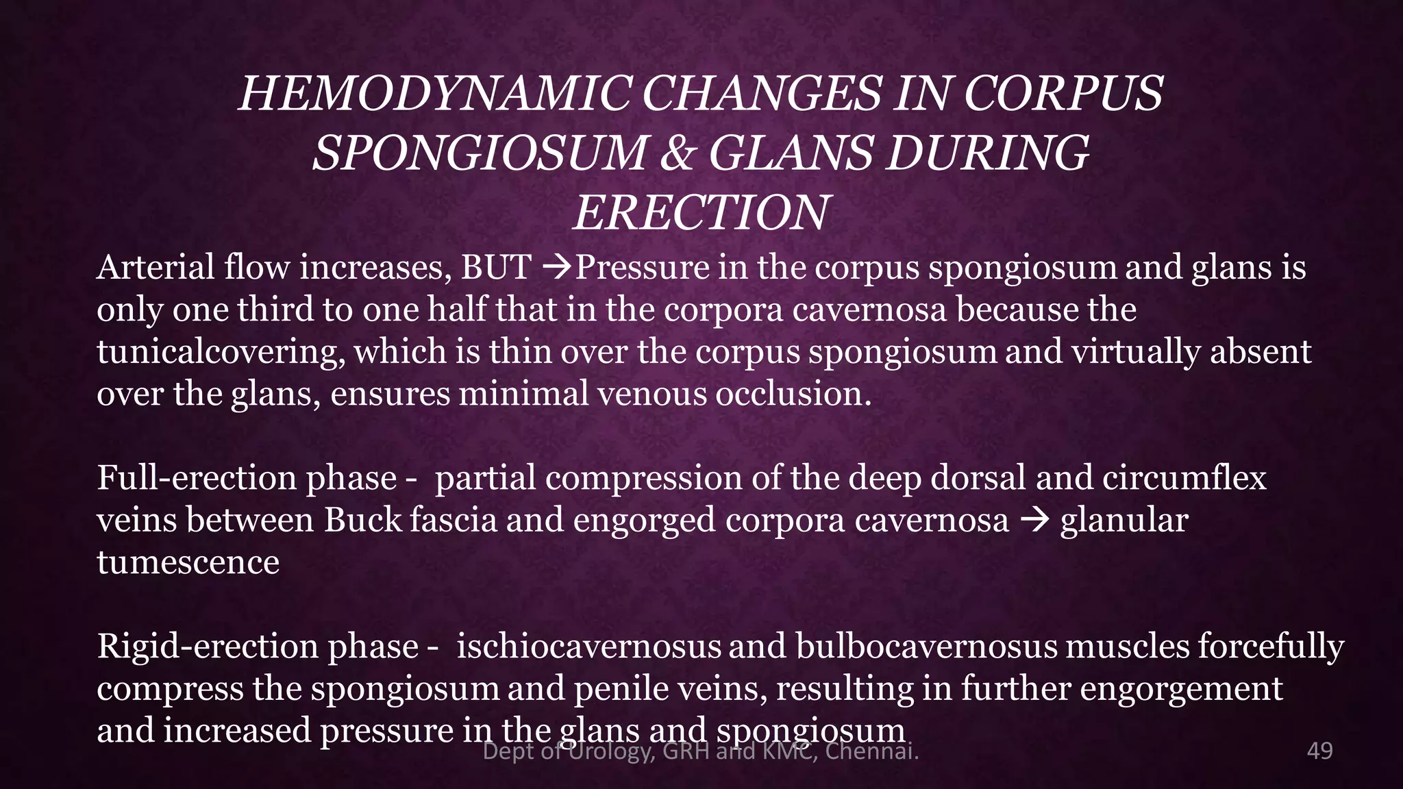 Penis erection physiology | PDF