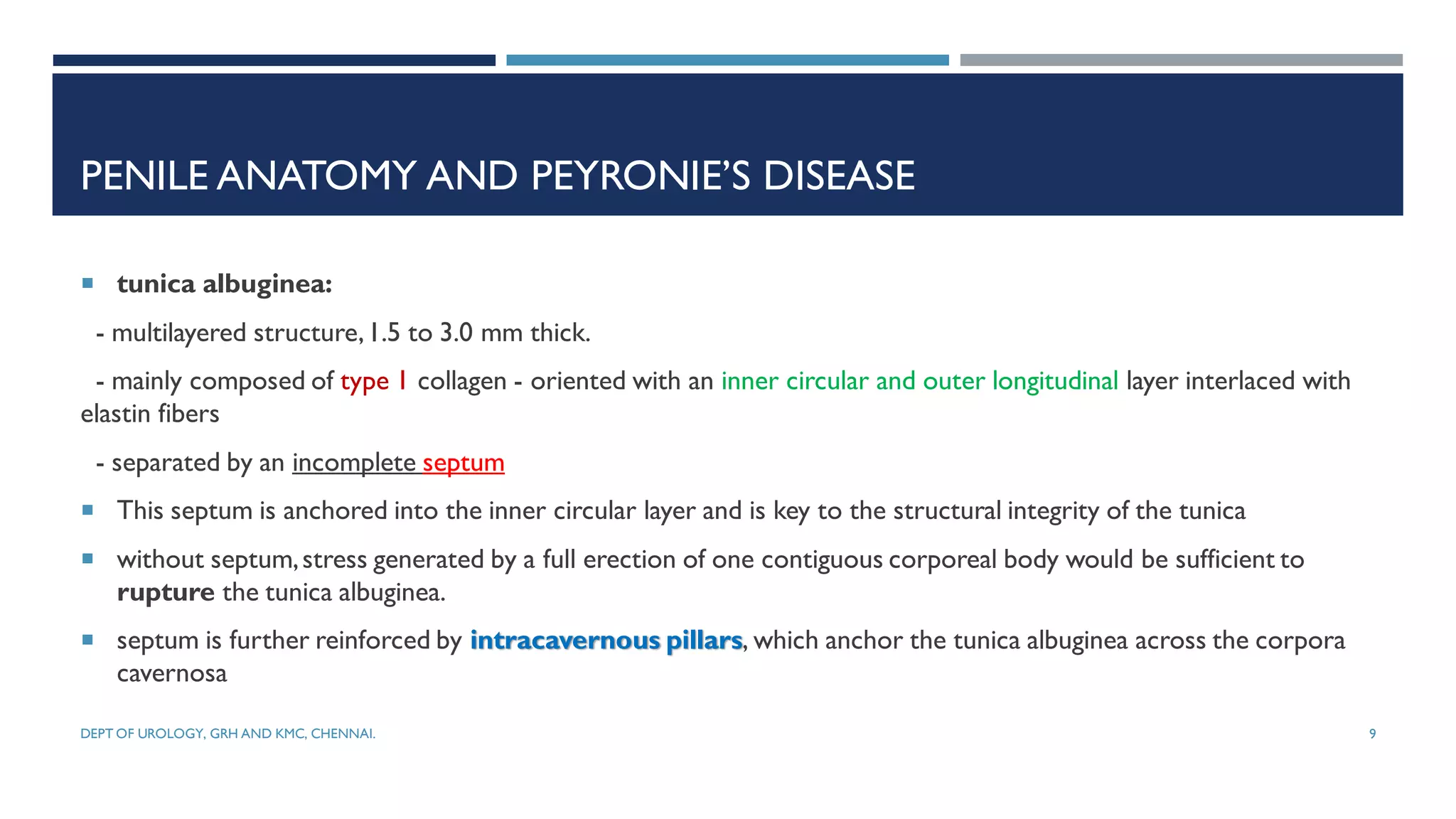 Penis peyronies disease | PDF