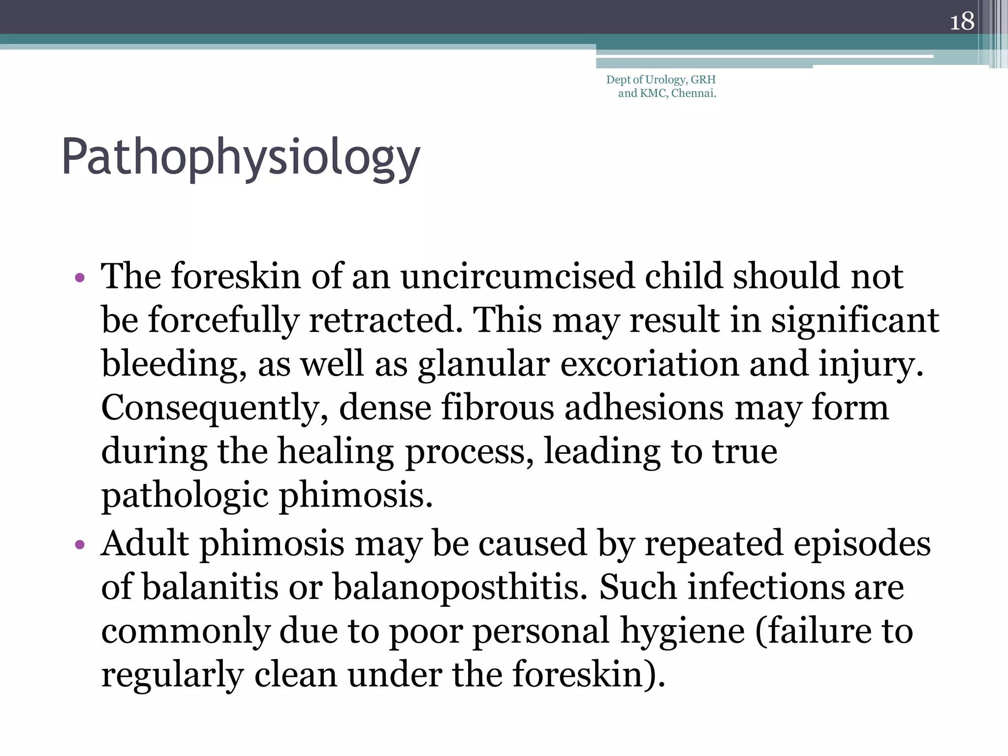 Penis phimosis & circumcision | PDF