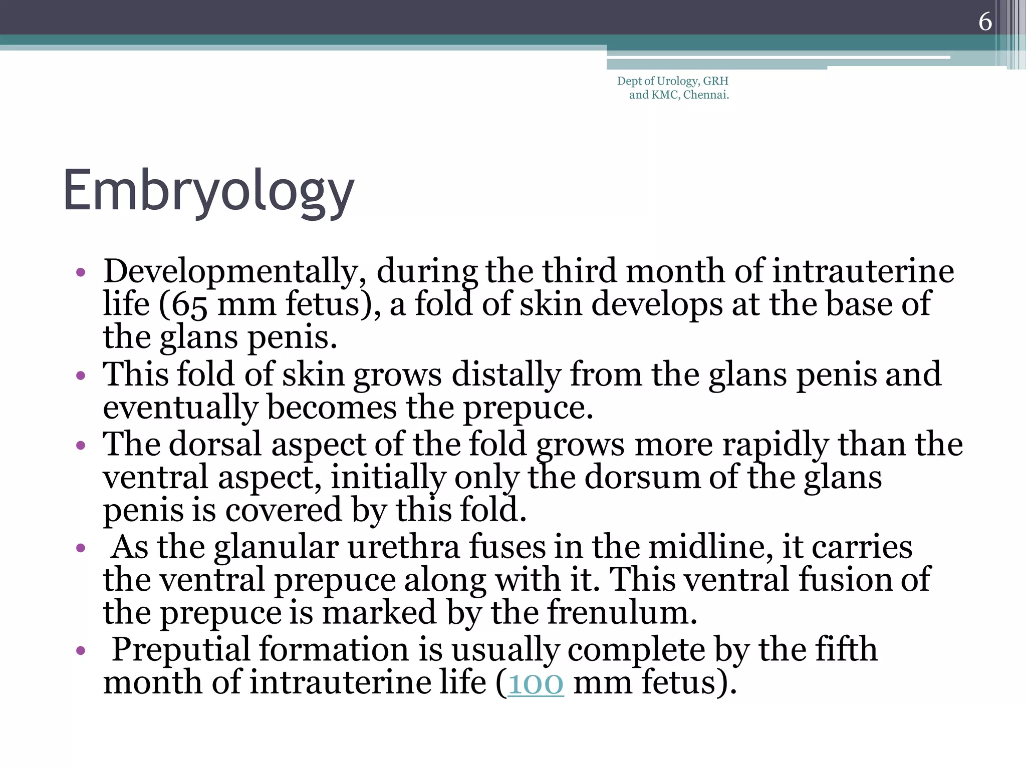 Penis phimosis & circumcision | PDF