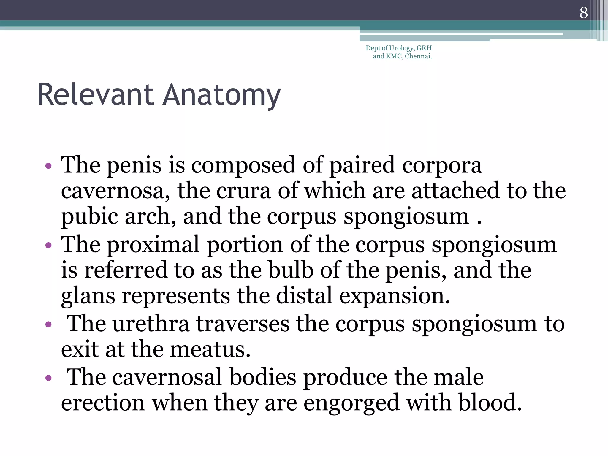 Penis phimosis & circumcision | PDF
